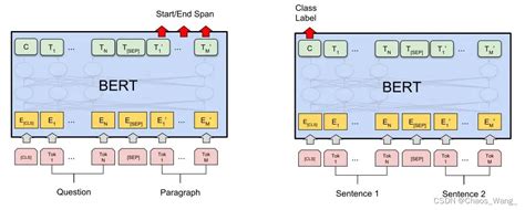 Nlp Bert Nlp Bert Bert Csdn