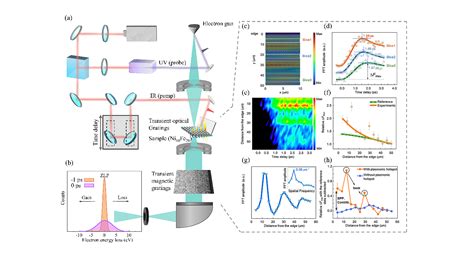 Ultrafast Imaging Of Plasmon Mediated Demagnetization Dynamics