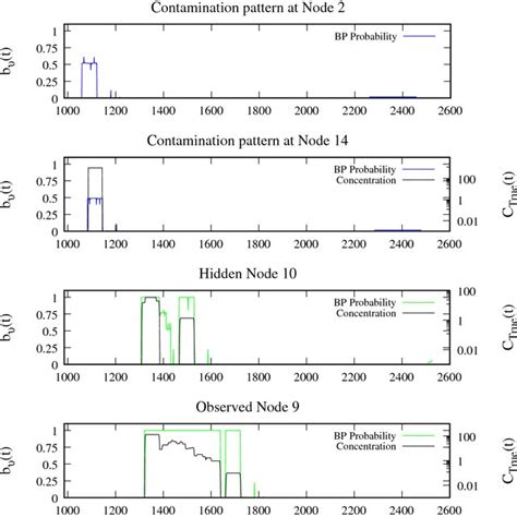 Real Concentrations Compared With Belief Propagation Predictions