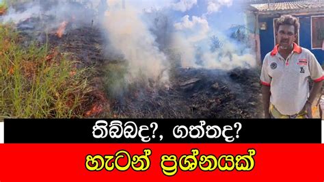 තිබ්බද ගත්තද හැටන් ප්‍රශ්නයක් Mojonewslk Youtube