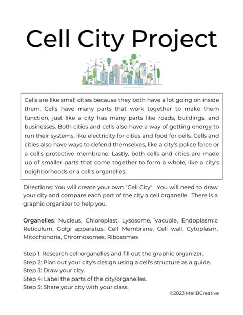 Cell City Project Examples