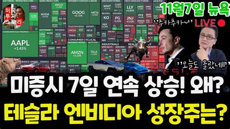미국주식시황오늘 왜 올랐나 테슬라는 왜 올랐나엔비디아 루시드 리비안 구글 애플 아마존 메타 마이크로소프트 소파이 뷰직스 팔란티어 아이온큐등 Tsla Tesla
