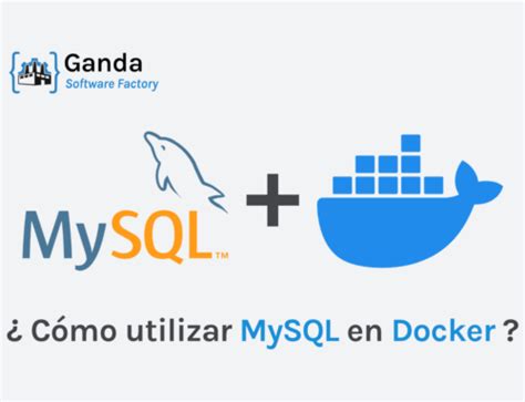¿cómo Crear Un Contenedor Postgresql Con Docker