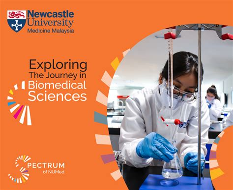 Exploring The Journey In Biomedical Sciences The Global Scholars