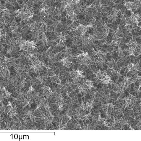 Cathode Surface With Clusters Of Carbon Nanotubes Download Scientific Diagram