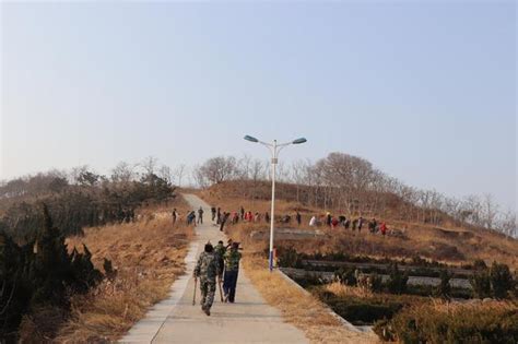 長島北隍城鄉開展我為海島添新綠義務植樹活動 每日頭條