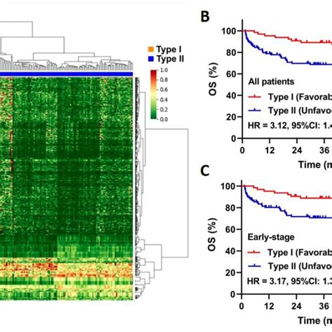 mri based radiomics signature and survival after classification a