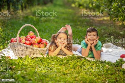 겨울 방학에 사과 파이를 굽기 위해 사과를 모은 여동생과 형제의 사진 2명에 대한 스톡 사진 및 기타 이미지 2명 가을 겨울 Istock