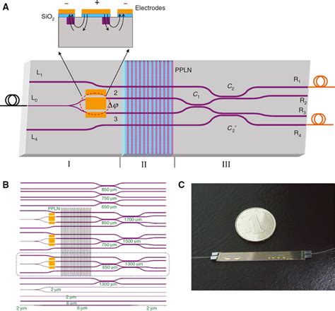 The Photonic Chip For Generating And Manipulating Entangled Download Scientific Diagram