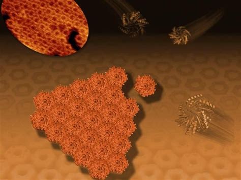 Natures Masonry The First Steps In How Thin Protein Sheets Form