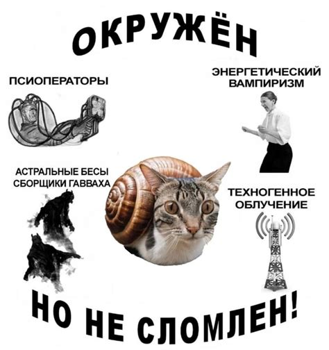 альтернативно верующие ебанариум котэ прикольные картинки с