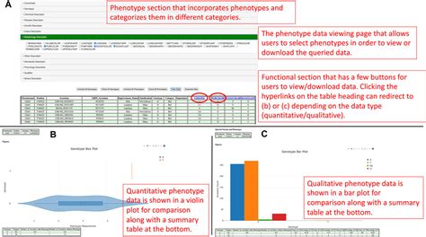 frontiers genomic variations explorer genvarx a toolset for