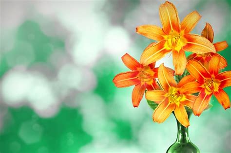 자연 나뭇잎과 지점 Bokeh 배경에 왼쪽에 텍스트에 대 한 빈 장소와 세라믹 꽃병에 아름 다운 라이브 릴리 부케 부케 0명에 대한 스톡 사진 및 기타 이미지 Istock