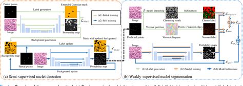 figure 1 from weakly supervised deep nuclei segmentation using partial points annotation in