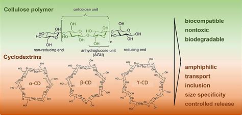 Frontiers Combining Cellulose And Cyclodextrins Fascinating Designs For Materials And