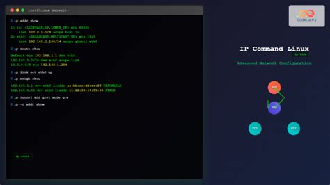 Traceroute Command Linux Complete Network Route Tracing Guide Codelucky