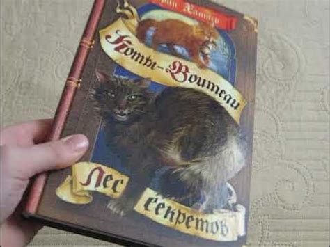 //Обзор на книгу "Коты-Воители. Лес секретов"! //КВ //1 цикл - YouTube