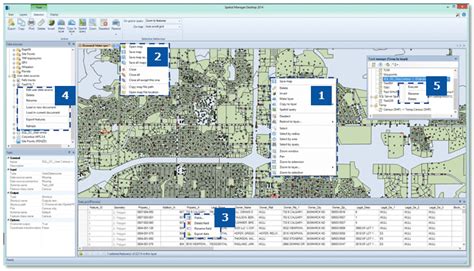 Spatial Manager Desktop FAQs Interface Spatial Manager Wiki