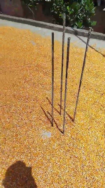 Islamic Shortvideo Mizanurrahmanazhari Banglawaz Bangladesh 🇧🇩🇧🇩