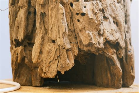 구멍이 뚫린 나무 조각의 클로즈업 사진 Unsplash의 무료 인테리어 디자인 이미지