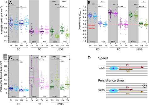 Cell Migration Parameters Of The Different Cell Types At Different Download Scientific Diagram