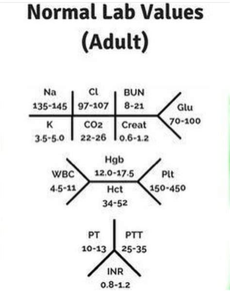 Normal Lab Values Medizzy