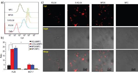 Assays To Determine Enhanced Selective Internalization Ability A Cell Download Scientific