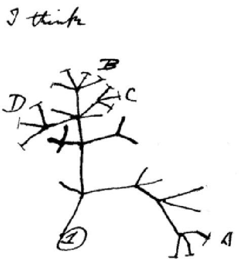 Figure 1 1 From Ancestral Sequence Reconstruction Methods And Applications Semantic Scholar