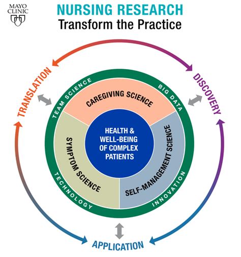 10 Mayo Clinic Research Advances In 2024 Spanning Stem Cell Therapy In Space To Growing Mini