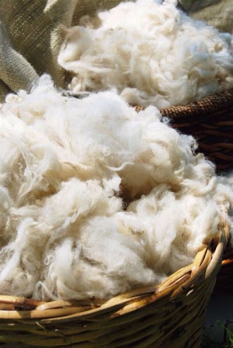 A Girl Inspired Imágenes para cuadros Texturas Hojarascas