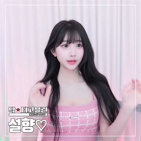 닥터고블린 안녕하세요 닥터고블린컴퍼니입니다 채팅창 오버레이 시스템 개발자인 조련사 님과 저희 닥터고블린컴퍼니가 협업하여 위플랩이라는 새로운 오버레이 서비스를 오픈하게