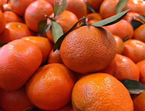 柠檬的升糖指数 Gi值 血糖生成指数 Gi 升糖负荷 Gl值 热量 蛋白质含量 碳水化合物含量 嘌呤含量 控糖指南 乐圣科技