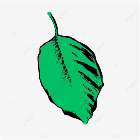 Fruit Leaf Vector Design Fruit Leaf Vector Fruit Leaf Leaf