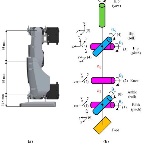 Robotis Op2 Humanoid Robot And Joint Placement Download Scientific Diagram