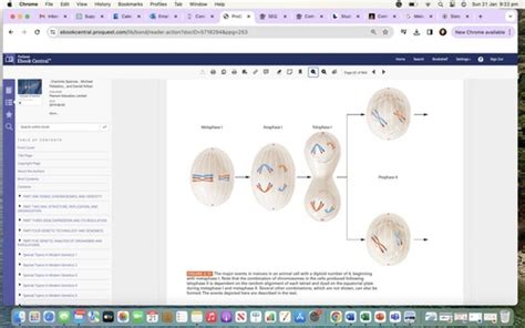 Mendelian Genetics And Patterns Of Inheritance Flashcards Quizlet