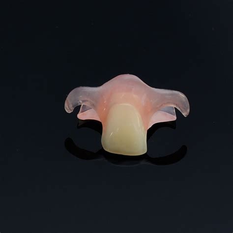 Nesbit Flexible Partial Denture Online Vida Smile Care