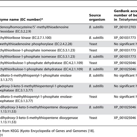 The Methionine Salvage Pathway The Enzyme Names Are From 4 And
