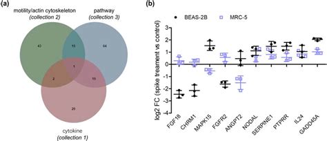 Screen And Validation Of Candidate Genes A Venn Diagram Analysis Of