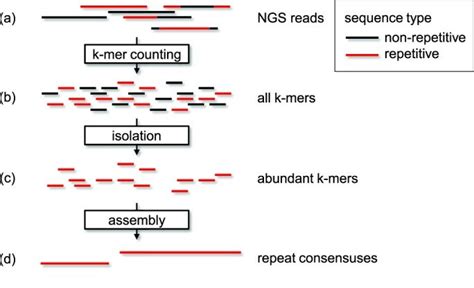 Workflow Of The Repeat Library Creation Pipeline Repark Wgs Sequencing Download Scientific
