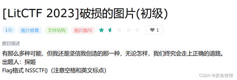 Litctf 2023 破损的图片初级 Csdn博客