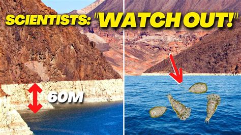 Lake Mead Drought Update Amoeba Found And Other Discoveries Go It