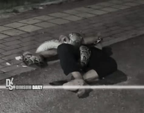 Drunken Man Entangled By Python In Huizhou