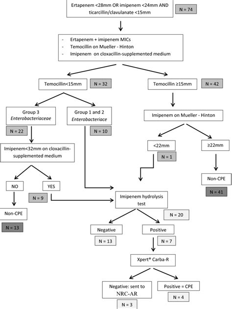 Results Of The Screening Algorithm For Cpe Detection N 74 Group 1