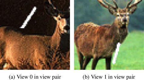 Unsupervised Disentanglement Without Autoencoding Pitfalls And Future Directions