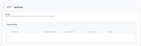 NetSuite API Integration