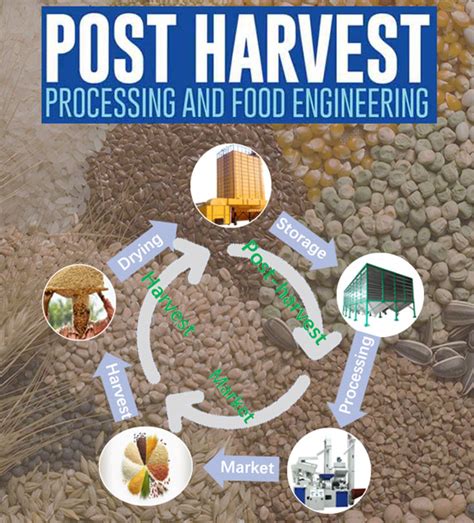 Methods Of Post Harvest Storage At Jenny Abate Blog