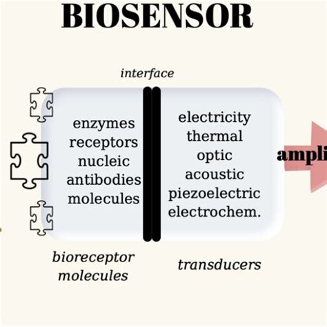 Working Principle Of Biosensors As Seen In Figure 1 Biomolecule Based Download Scientific