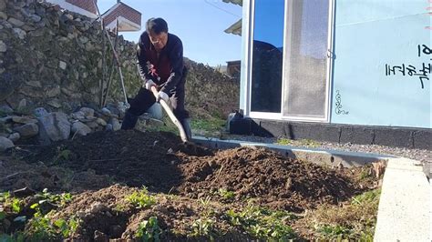 작은텃밭에 미니 비닐하우스 만들어 월동작물 심었습니다 Youtube