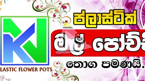 ප්ලාස්ටික් මල් පෝච්චි මිල ගණන් අගෝස්තු Youtube