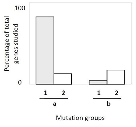 MCDB XL 100 Chapter 20 Flashcards Quizlet